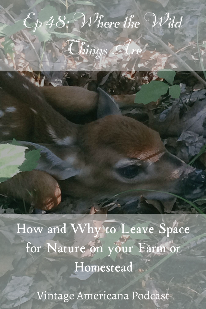 Ep 48: Where the Wild Things Are - Vintage Americana Podcast