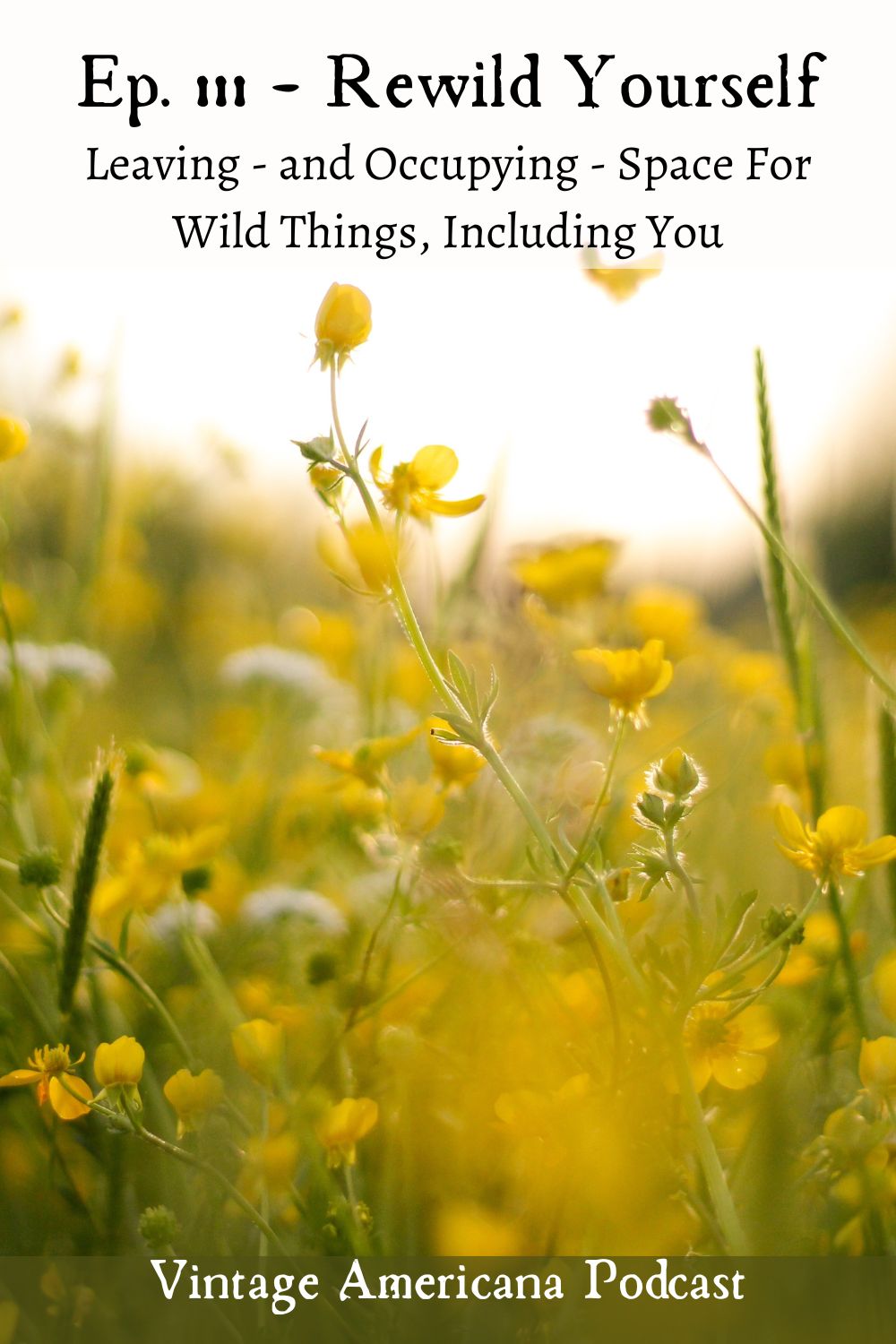 Ep. 111 – Rewild Yourself - Vintage Americana Podcast